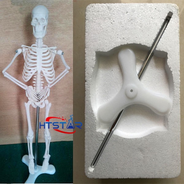 Human Skeleton Model 45cm Biological Teaching Models With Plastic Base ...