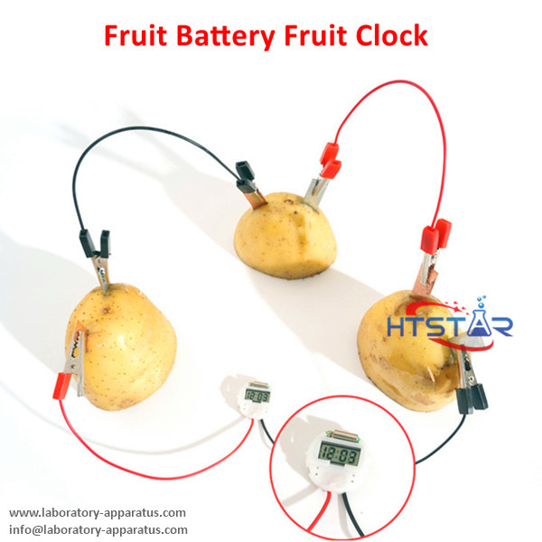 DIY Fruit Battery Kits Primary School Science and Educational Toys STEM ...